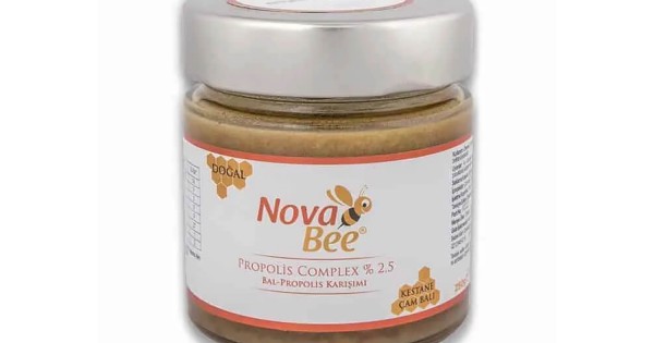 Nova Bee